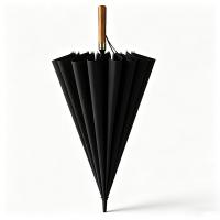 China Automatic open gentleman's business umbrella for sale