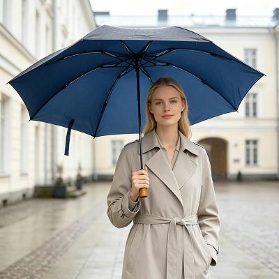 China Semi-Automatic Folding Umbrella with Full Fiberglass Frame, 80 km/h Windproof and Double Layer Canopy for sale