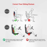 China Memory Foam Seat Back Cushion for Office Chair Comfortable Effective Back Pain Relief for sale