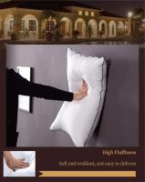China JOURM Hilton Hotel White Microfiber 100% Cotton Unpick and Wash Sleeping Pillow for Bed for sale