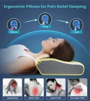 China Cervical Spine Graving Pillow for Neck and Analgesic Support Memory Foam Bed Pillow for sale