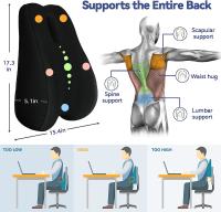 China Adjustable Lumbar Support Office Ergonomic Back Support Waist Lumbar Pillow Anti-Static for sale