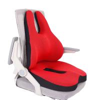 China Customizable One Piece Lumbar Backrest Cushion for Sedentary Office Knitted Material for sale