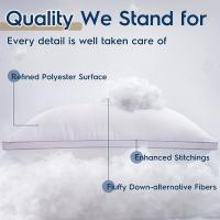 China Queen Size Set of 2 Pillows for Sleeping Fluffy Memory Foam Filling is customized Yes for sale
