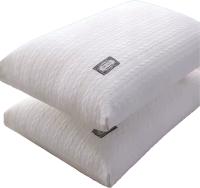China Upgrade Your Sleep Experience with Our 600TC Thread Count Knitted Cotton Massage Pillow for sale
