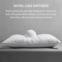 China 60 Fabric Count Memory Foam Goose Feather Down Pillow Queen Size 20x28 for Sleeping for sale