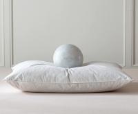 China NECK Part Luxury Goose Feathers Down Pillow for Sleeping Hotel Collection Queen Size for sale