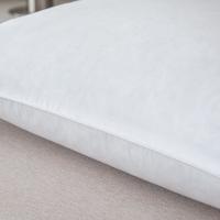 China NECK Part Luxury Goose Feathers Down Pillow for Sleeping Hotel Collection Queen Size for sale