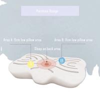 China Tencel Outer Cover Memory Foam Neck Pillow for Pain Relief and Orthopedic Support for sale