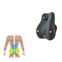 China Custom Logo Accepted Lumbar Support Pillow/Back Cushion Memory Foam Orthopedic Backrest for sale