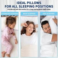 China Striped Home Pillow 2 Pack Queen Size Cooling Pillows for Side Back and Stomach Sleepers for sale