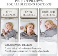 China Homemate Bed Pillows for Sleeping Set of 2 Allergy Friendly Microfiber Shell Fluffy Down for sale