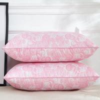 China Queen Size Plush Cooling Pillows Set of 2 Made with 100 Percent Polyester Microfiber for sale