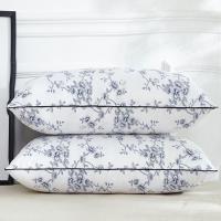 China Queen Size Plush Cooling Pillows Set of 2 Made with 100 Percent Polyester Microfiber for sale