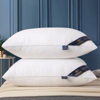 China Soft Down Cooling Pillows for Sleeping 2pack Queen Size Home Pillow Medium Firm 1.5-2 Kg for sale