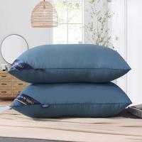 China Soft Down Cooling Pillows for Sleeping 2pack Queen Size Home Pillow Medium Firm 1.5-2 Kg for sale
