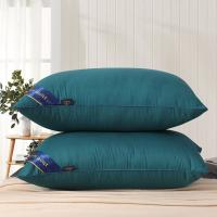 China Soft Down Cooling Pillows for Sleeping 2pack Queen Size Home Pillow Medium Firm 1.5-2 Kg for sale