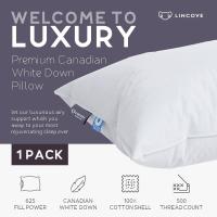 China 400TC Canadian White Down Luxury Sleeping Pillow 625 Fill Power Home Hotel Hopsital for sale