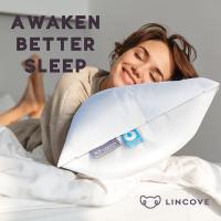 China 400TC Canadian White Down Luxury Sleeping Pillow 625 Fill Power Home Hotel Hopsital for sale