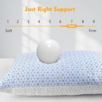 China Adjustable Queen Size Pillows 2 Pack Memory Foam Filling for Healthy Sleep Deep Sleep for sale