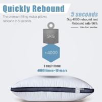 China Queen Size Luxury Hotel Pillows 2-Pack Memorry Foam Filling Material Customized Color for sale