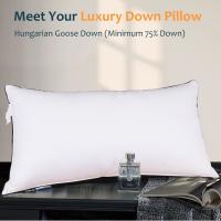 China Queen Size Hungarian Goose Down Pillow Perfect for Back Side and Stomach Sleepers for sale