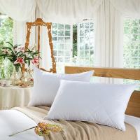 China 100% Polyester Queen Size Goose Feather Bed Pillows Set of 2 Soft 600 Thread Count for sale