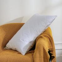 China 100% Polyester Queen Size Goose Feather Bed Pillows Set of 2 Soft 600 Thread Count for sale