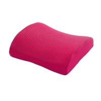 China Square 0.5-1kg Memory Foam Lumbar Support Back Cushion Pillow for Car Pain Relief for sale