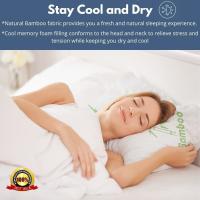 China Get Rid of Neck Pain Snoring and Asthma with Bamboo Pillow King Shredded Memory Foam for sale