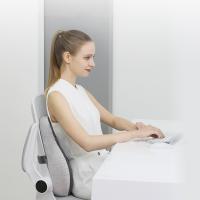 China Custom Logo Accepted Memory Foam Ergonomic Lumbar Cushion for Office Chair Back Support for sale