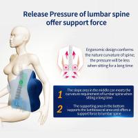 China Lumbar Roll Back Support Cushion for Back Pain Removable and Washable Rectangle Design for sale