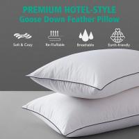 China Soft Medium Feather Down Pillows Set of 2 for Stomach/Back Sleepers in Hotel- 0.5-1 Kg for sale