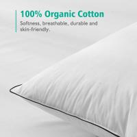China Soft Medium Feather Down Pillows Set of 2 for Stomach/Back Sleepers in Hotel- 0.5-1 Kg for sale