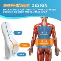 China Removable and Washable Rectangle Car Cushion for Waist Pain Relief Hot Seller for sale