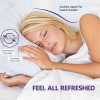 China 2 Pack Standard Pillows for Sleeping Soft Down Alternative 100% Polyester and Medium Support for sale