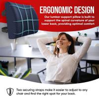 China Office and Car Chair Breathable 3D Mesh Memory Foam Lumbar Cushion with Adjustable Strap for sale