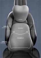 China Memory Foam Back Cushion The Ultimate Choice for Back Pain Relief and Posture Support for sale