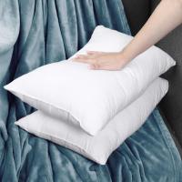 China Indoor Decorative Pillows 20 x 26 Inches Bedding Throw Pillows Insert Pack of 2 White for sale