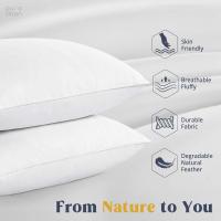 China Luxurious Feathers and Down White Pillow Inserts for a Cozy Home Decor Sofa Cushion for sale