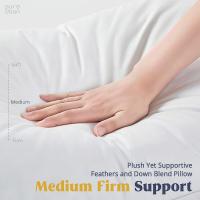China Luxurious Feathers and Down White Pillow Inserts for a Cozy Home Decor Sofa Cushion for sale