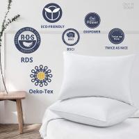 China Luxurious Feathers and Down White Pillow Inserts for a Cozy Home Decor Sofa Cushion for sale