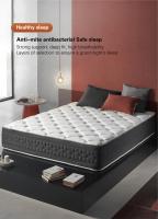 China JOURM Natural Anti-Mite Knit Fabric High Density Compressible Sponge Orthopedic Mattress for sale