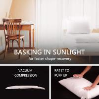 China Hotel Collection Fluffy Down Alternative Pillows with Softness and Customized Color for sale