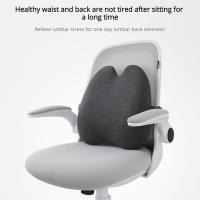 China Hotel Chair Back Support Cushion Memory Foam Lumbar Pillow for Lower Back Pain Relief for sale