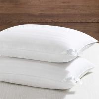China Customized Color King Size Pillows 0.5-1 Kg Down Alternative Pillows for Side Sleepers for sale