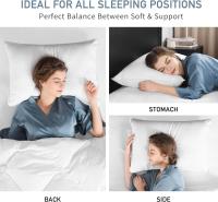 China Customized Color King Size Pillows 0.5-1 Kg Down Alternative Pillows for Side Sleepers for sale