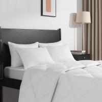 China Customized Color King Size Pillows 0.5-1 Kg Down Alternative Pillows for Side Sleepers for sale