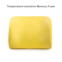 China Foldable Bus Driver Waist Cushion with Removable and Washable Cover Custom Hardness for sale
