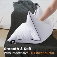 China Soft Square 100% Polyester Set of 2 Luxury Hungarian Goose Down Pillows for Sleeping for sale